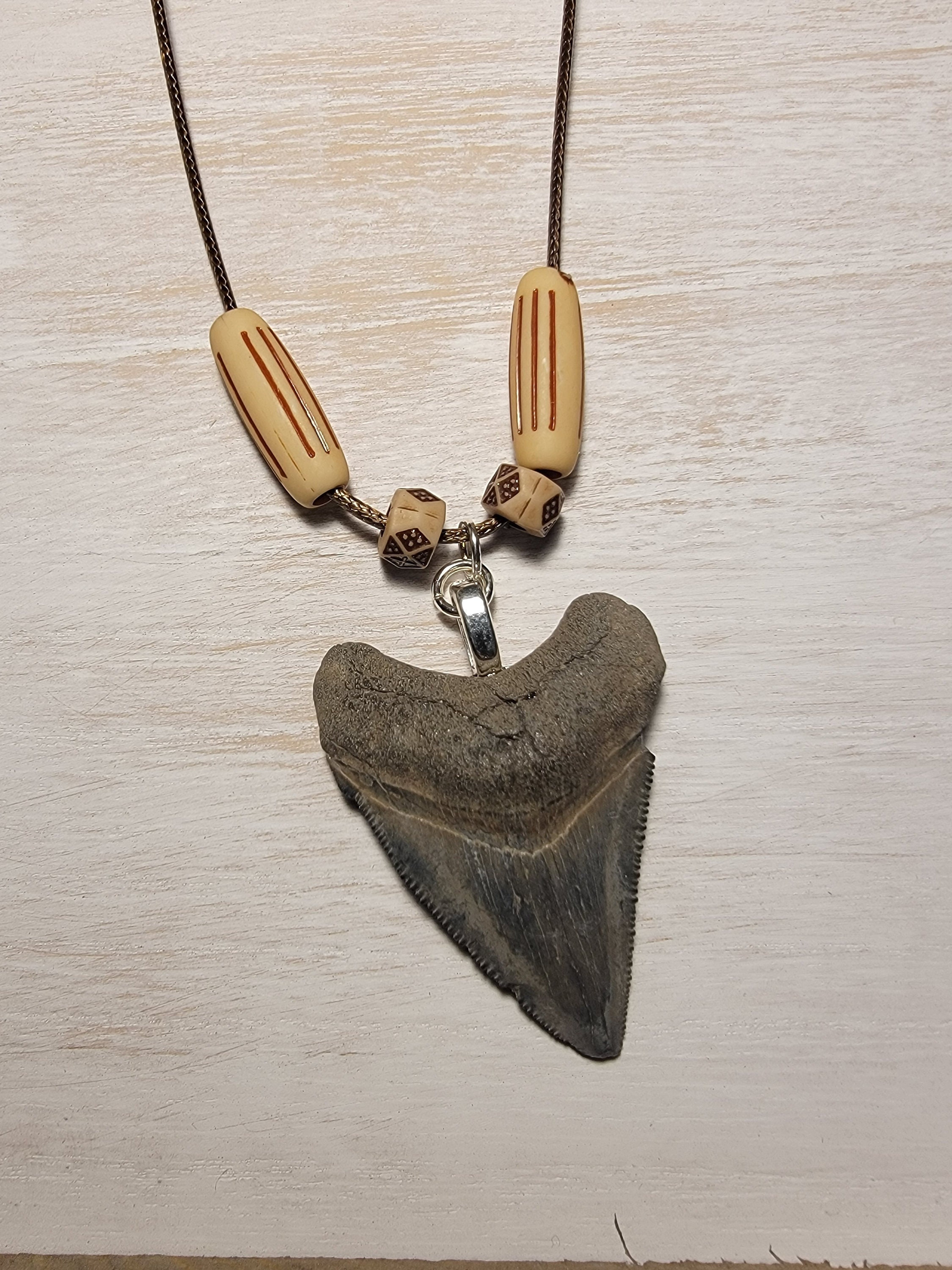 Prehistoric Juvenile Megalodon Shark Tooth Necklace - Etsy