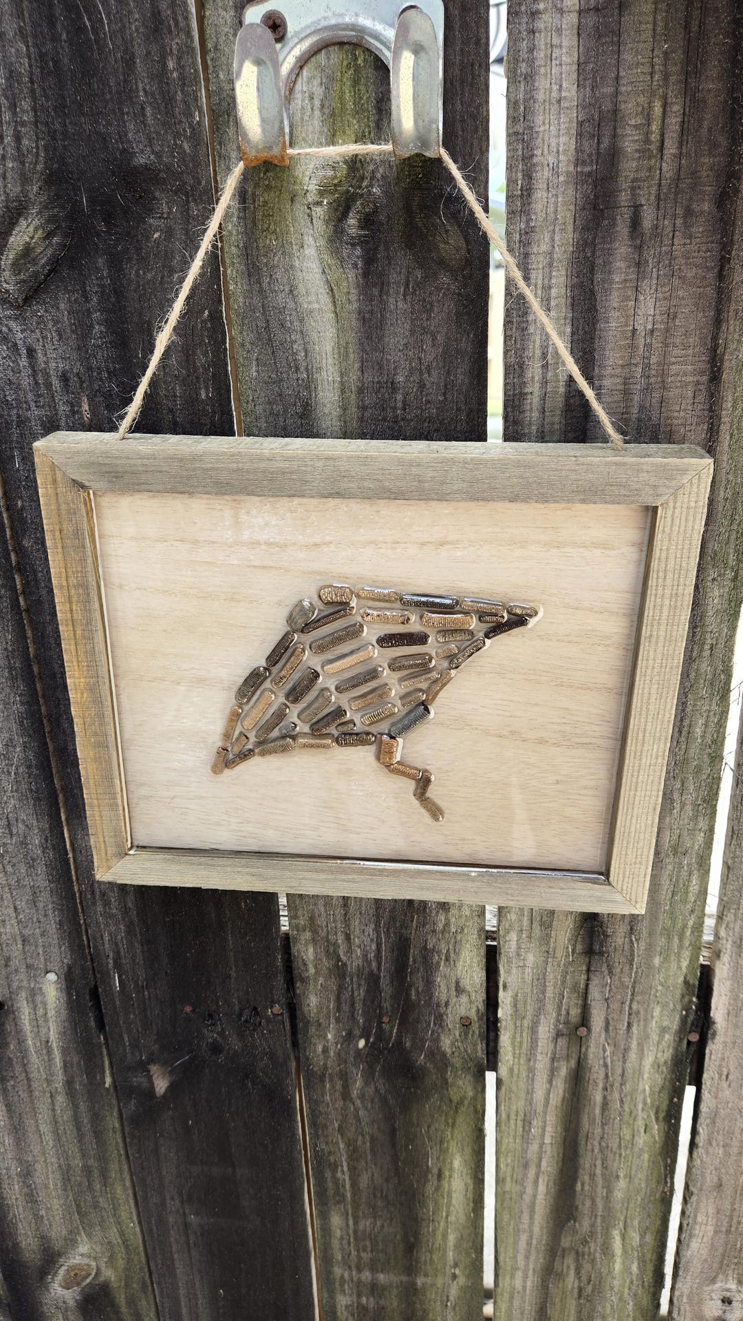 Fossilized Sting Ray Teeth/ Stingray - Etsy