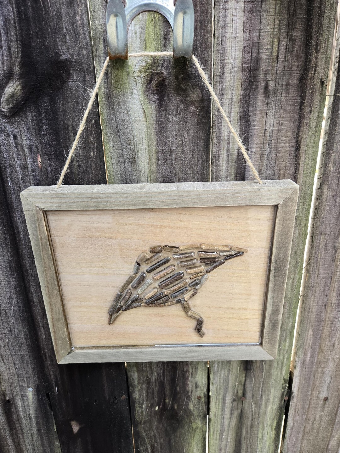 Sting Ray Made With Sting Ray Teeth - Etsy