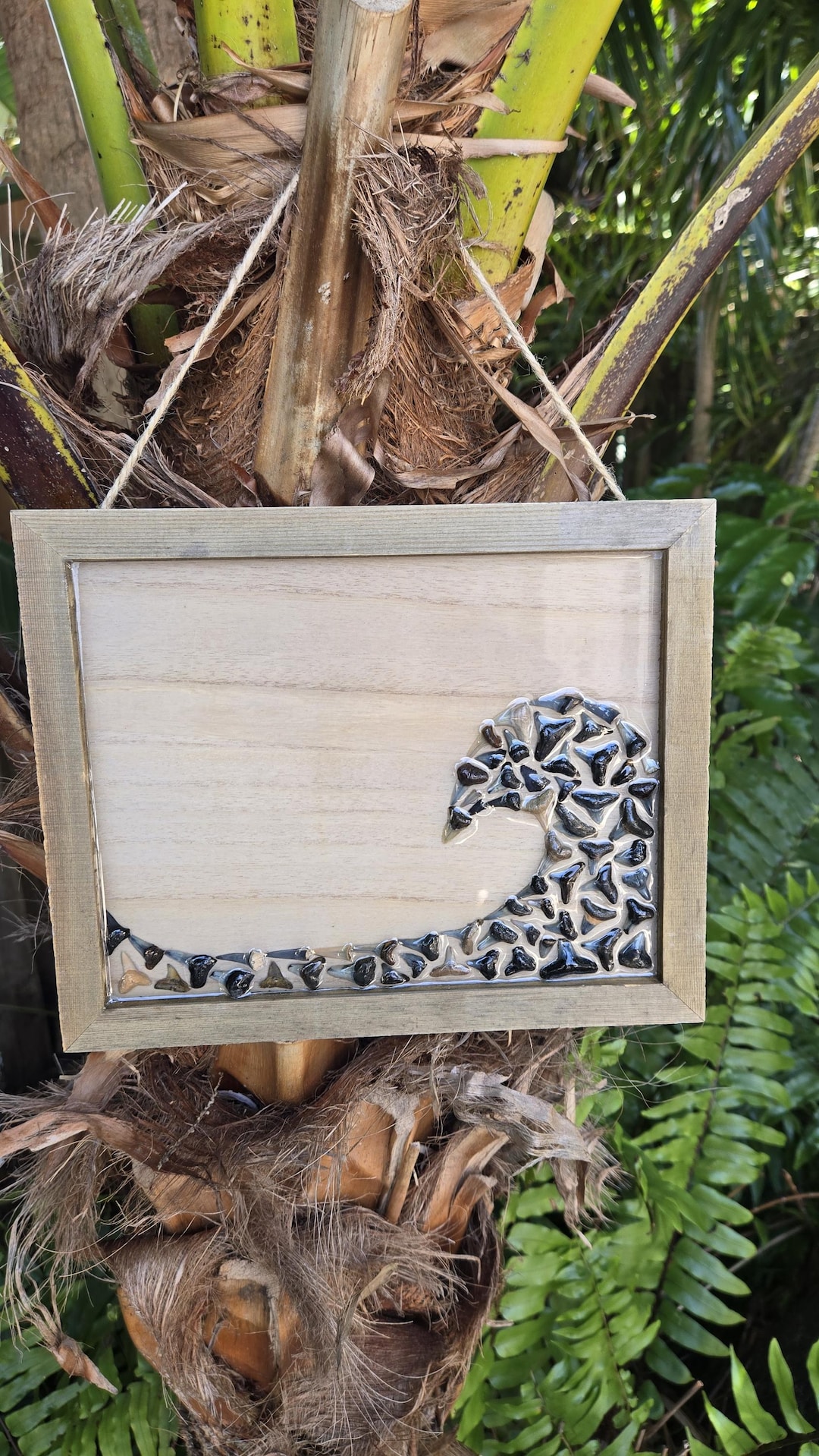 Shark Tooth Ocean Wave - Etsy
