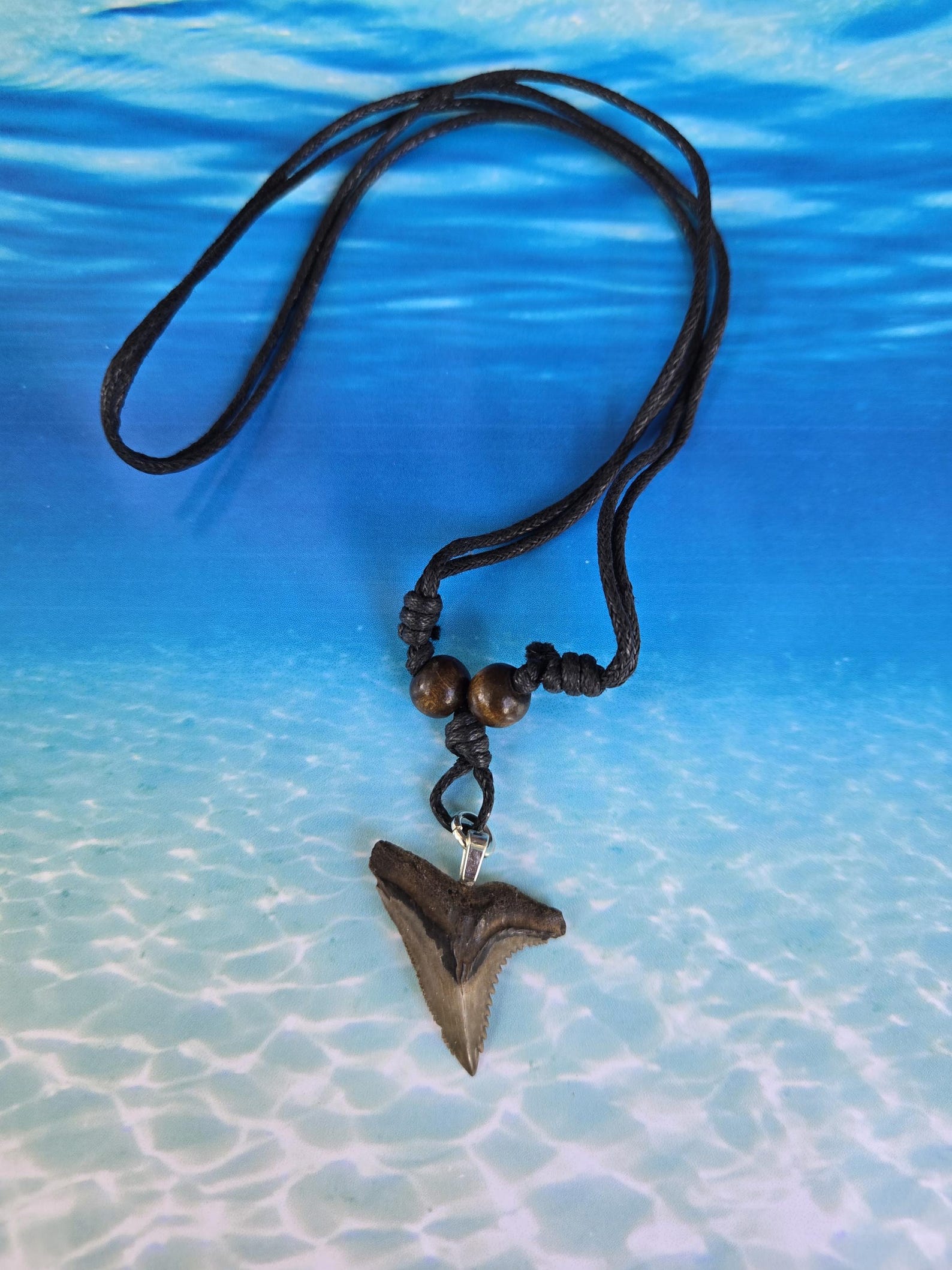 Extinct Snaggletooth Shark Tooth Necklace - Etsy