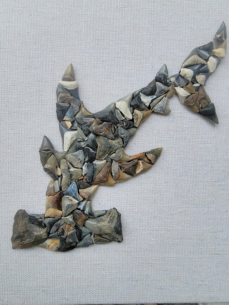 Shark Tooth Hammerhead Shark - Etsy