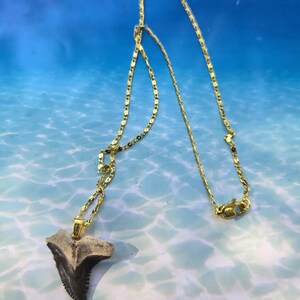 Extinct Snaggletooth Shark Tooth Necklace - Etsy
