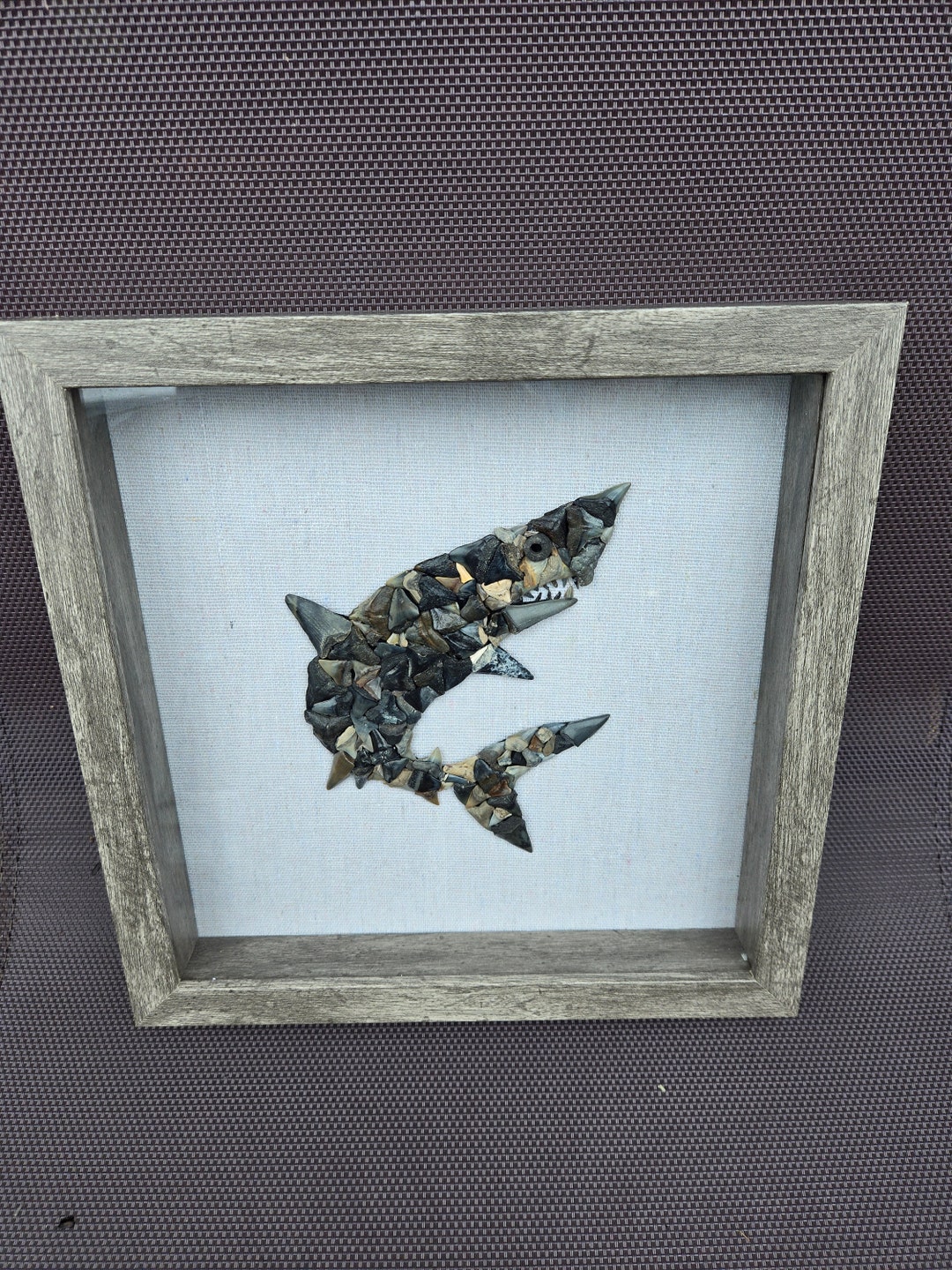 Shark Tooth Mako/shadow Box - Etsy