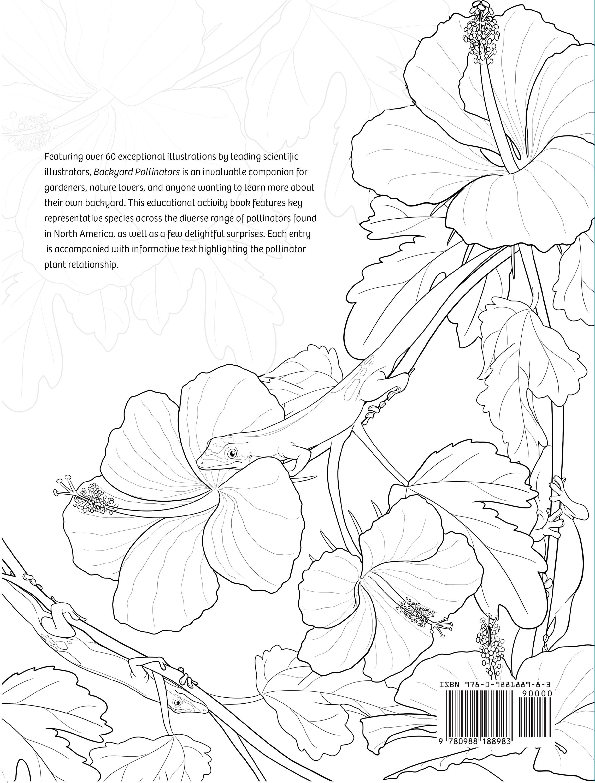 Backyard Pollinators Nature, Plants, Insects, and Wildlife Coloring ...