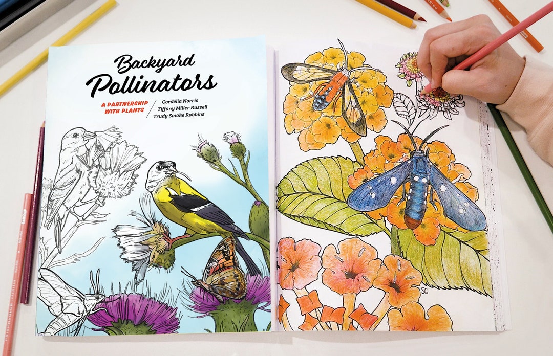 Backyard Pollinators Nature, Plants, Insects, and Wildlife Educational ...