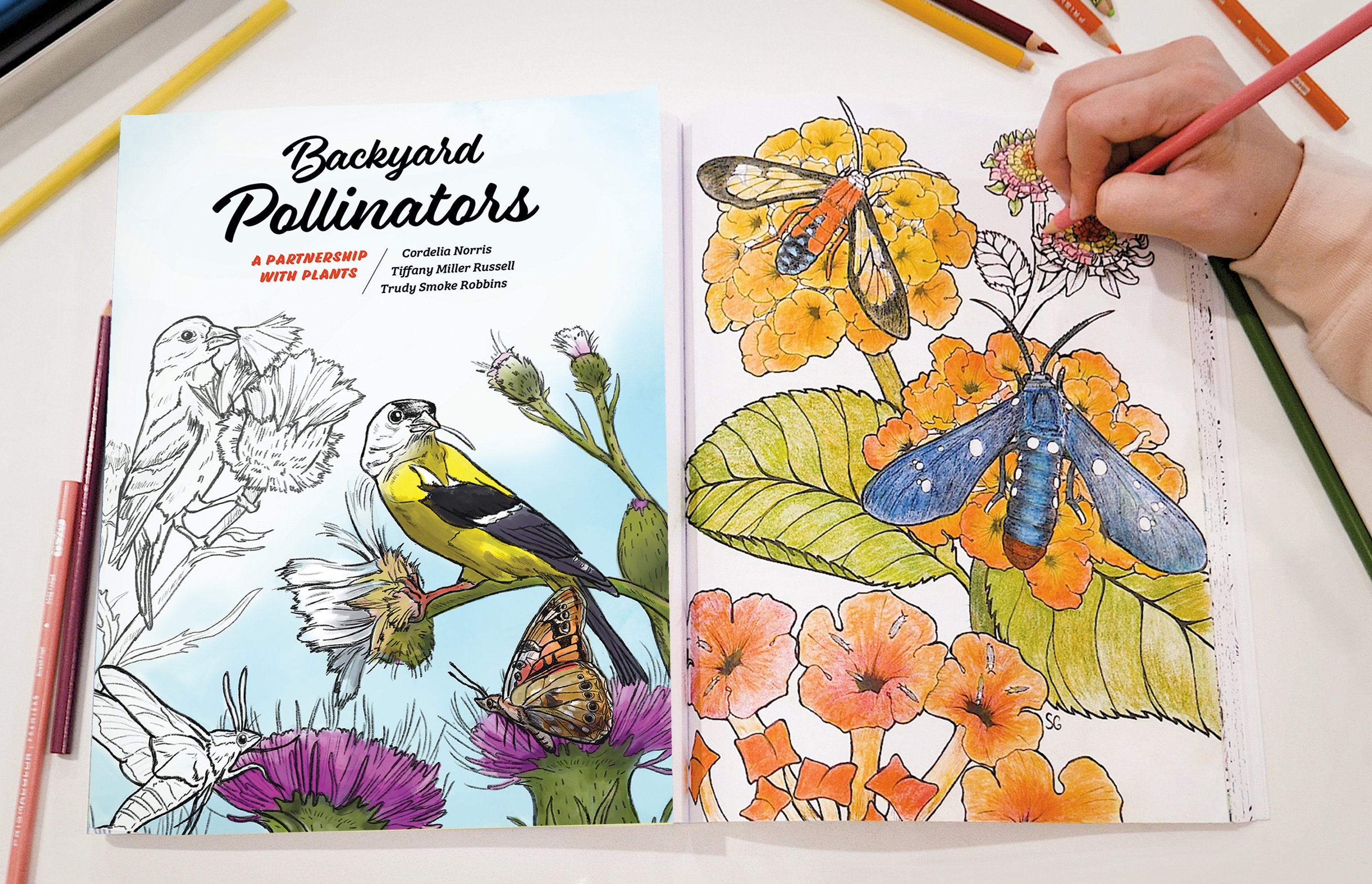 Backyard Pollinators Nature, Plants, Insects, and Wildlife Educational ...