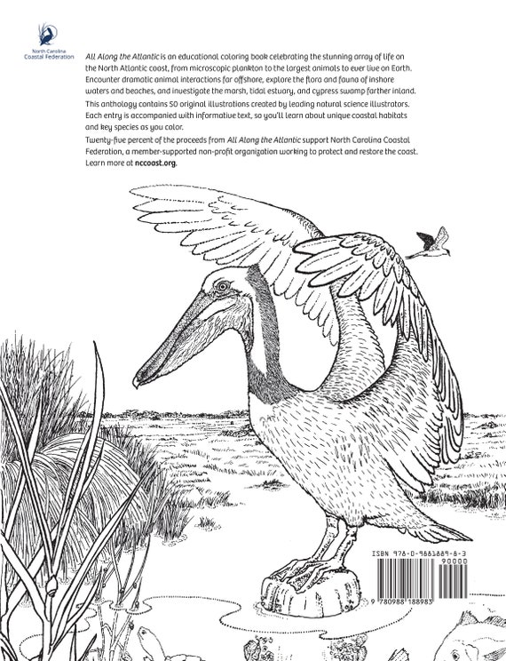 Atlantic Ocean Coloring Pages [2025]