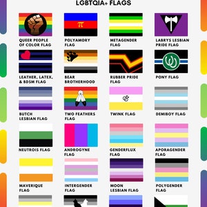 LGBTQIA+ Pride Flags Poster | Pride Flags 1 & 2 | LGBTQ Flag | LGBT ...