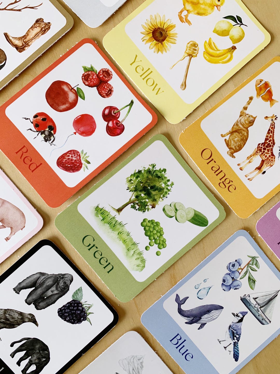 Colour Sorting Flashcards, Toddler Activities, Montessori Inspired. - Etsy