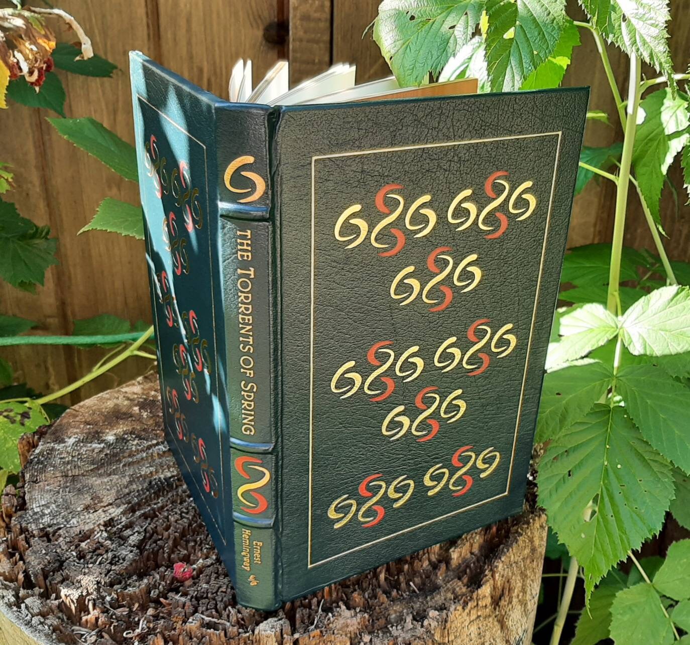 The Torrents Of Spring