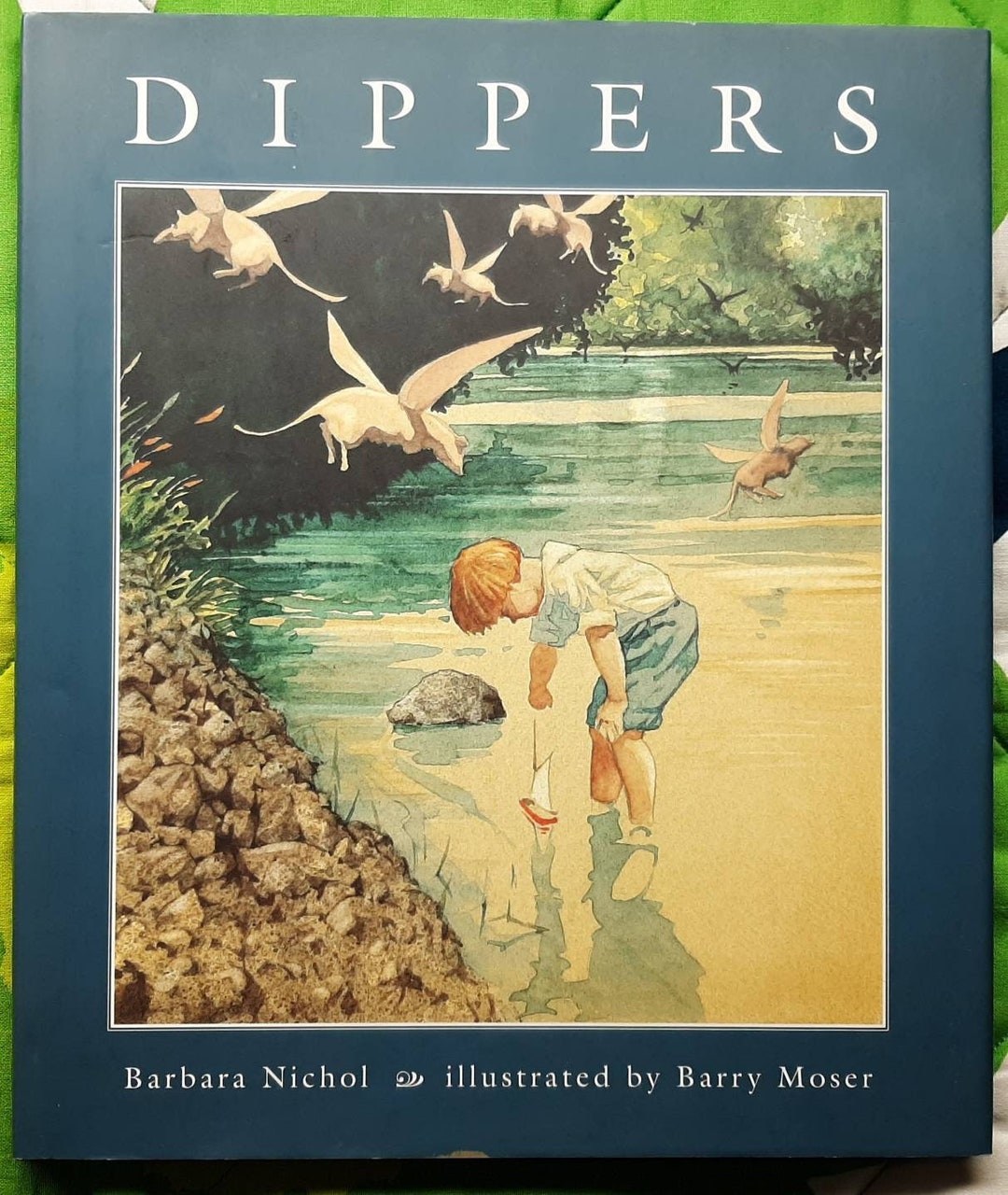 Dippers, Book by Barbara Nichol, Illustrated by Barry Moser - Etsy