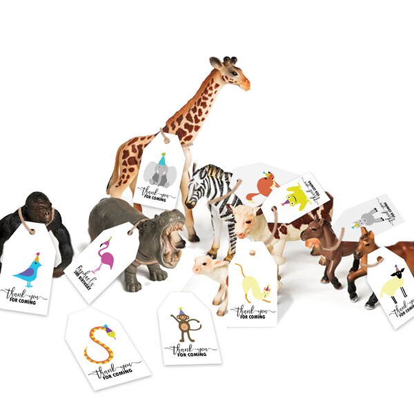 Zoo Party Favors - Etsy