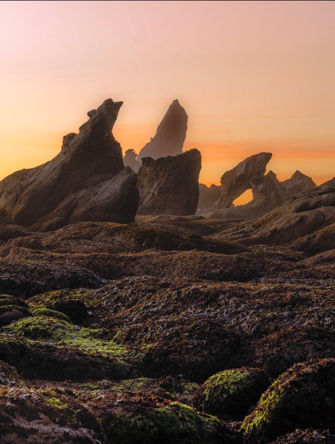 Washington Coast Photography Print / Beach / Sunset / Landscape ...