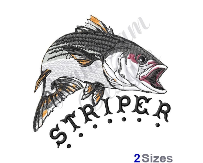 Striped Bass Fish Machine Embroidery Design Embroidery | Etsy