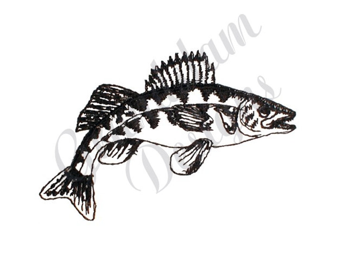 Walleye Outline Machine Embroidery Design Embroidery - Etsy Canada