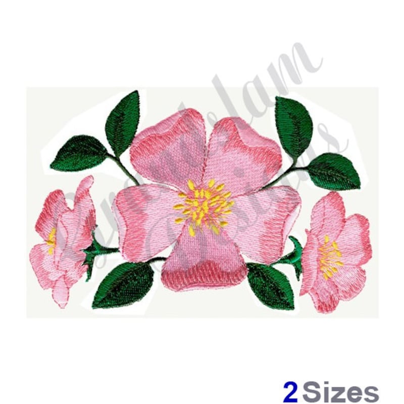 Wild Prairie Rose - Etsy