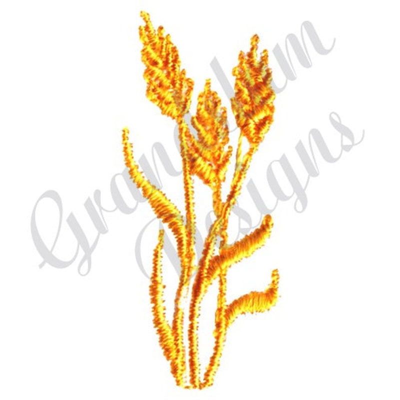 Hops and Wheat - Etsy