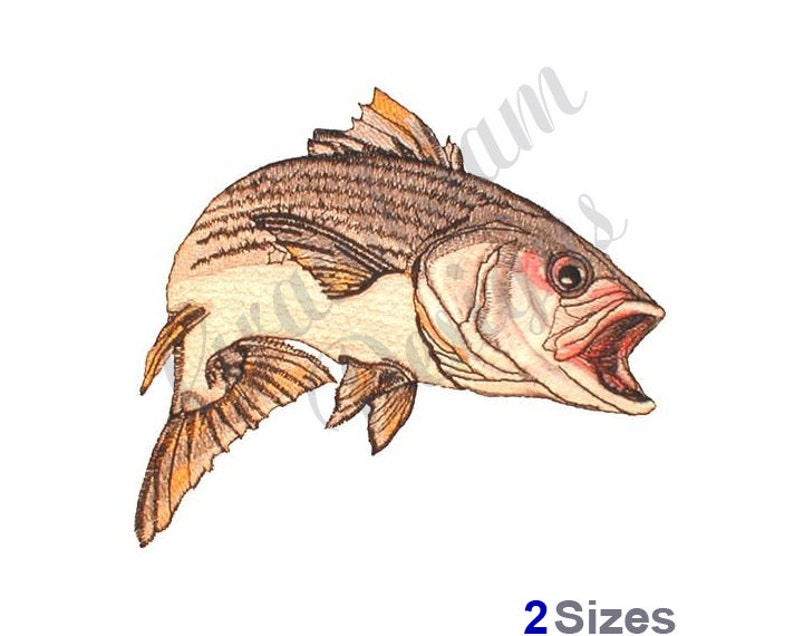 Striped Bass - Machine Embroidery Design, Embroidery Designs ...