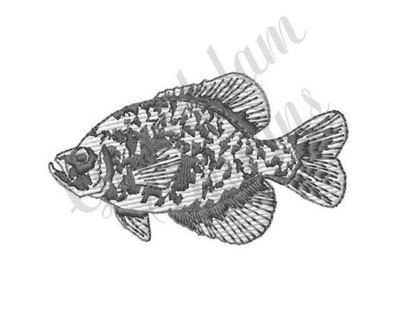 Crappie Fish Machine Embroidery Design Embroidery Designs | Etsy