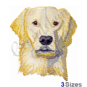 Golden Lab - Machine Embroidery Design - Etsy