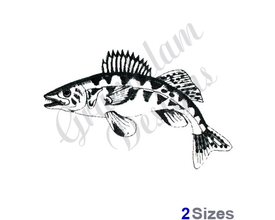 Walleye Outline Fish - Machine Embroidery Design - Etsy