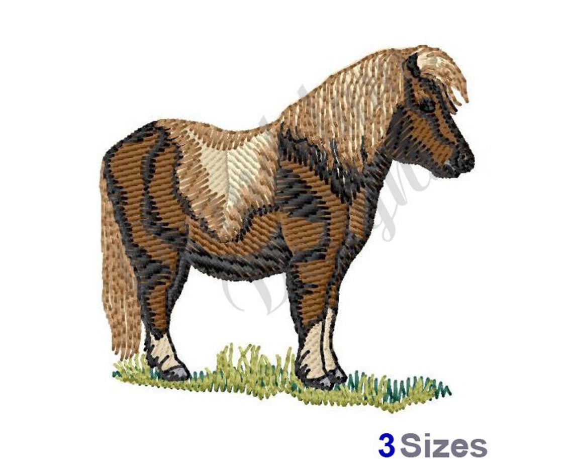 Shetland Pony Machine Embroidery Design - Etsy