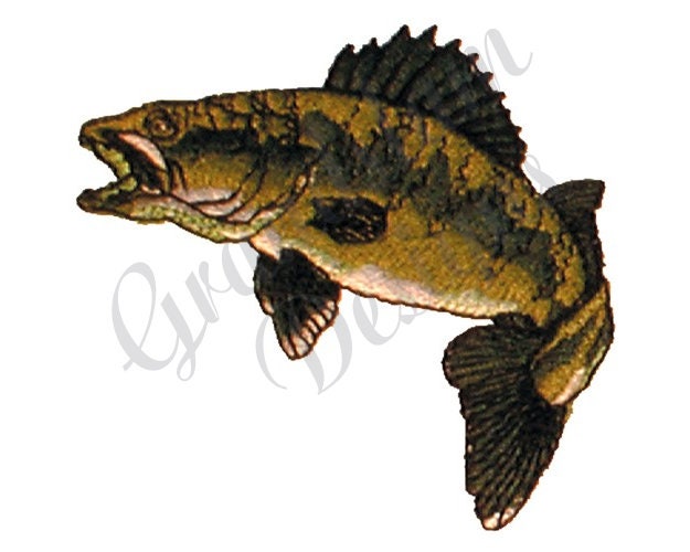 Walleye Fish - Machine Embroidery Design - Etsy