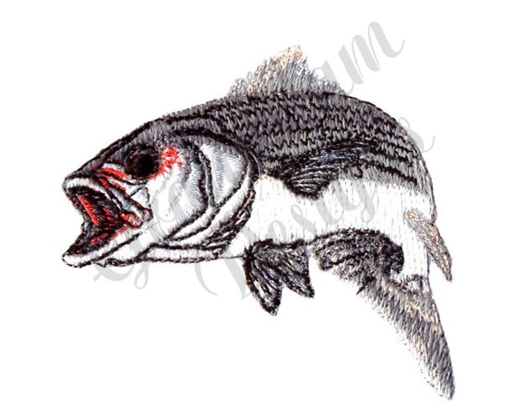 Striped Bass Fish Machine Embroidery Design, Embroidery Designs ...