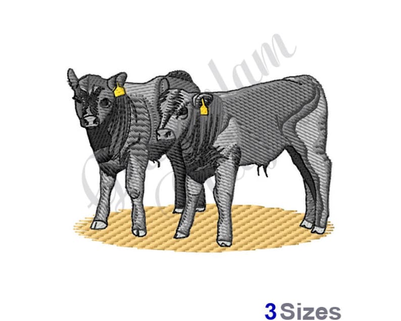 Black Angus Calves - Machine Embroidery Design - Etsy