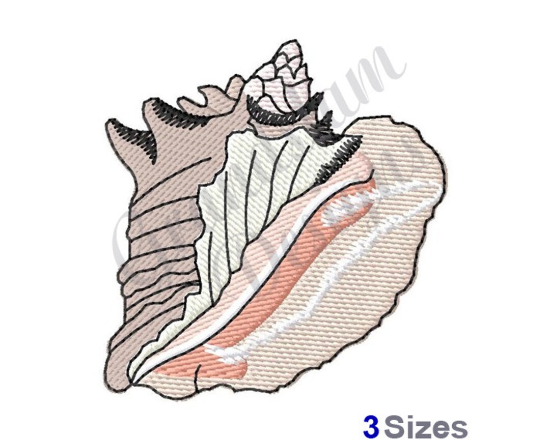 Queen Conch Sea Shell - Machine Embroidery Design - Etsy