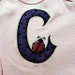 Ladybug Letter C - Machine Embroidery Design - Etsy