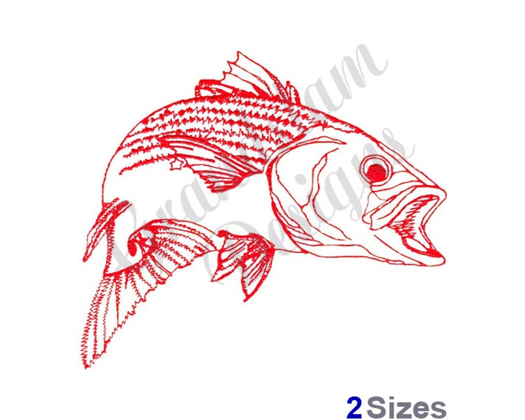 Striped Bass Redwork - Machine Embroidery Design, Embroidery Designs ...
