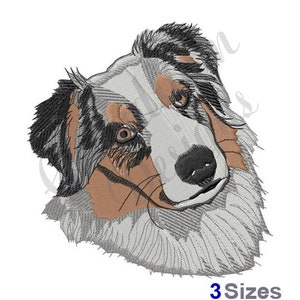 Australian Shepherd - Machine Embroidery Design, Embroidery Designs ...