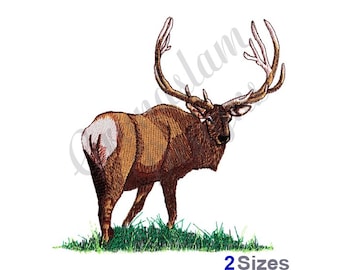 Bull Elk Machine Embroidery Design - Etsy