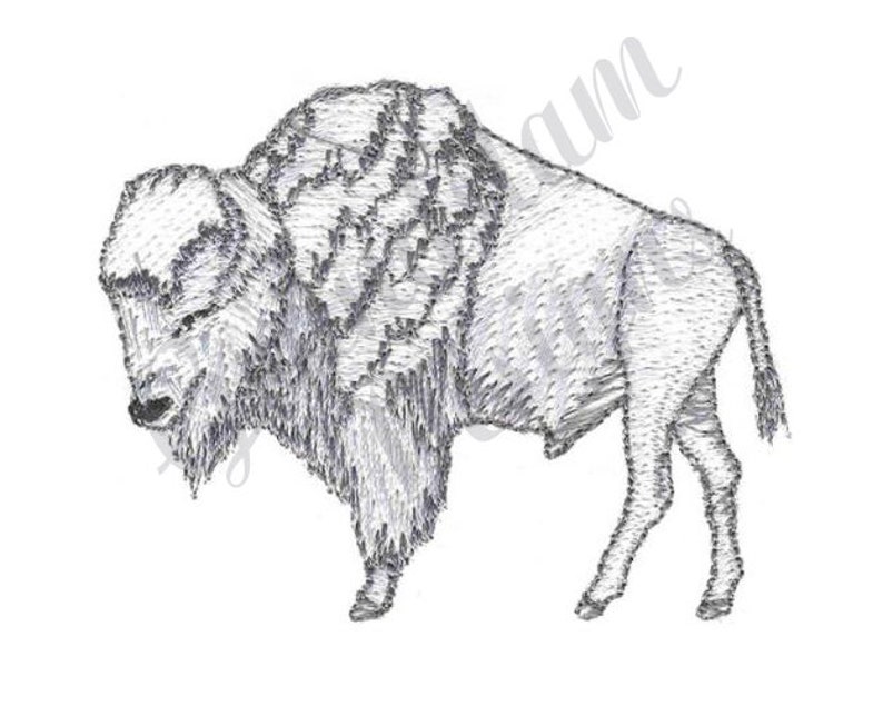 White Buffalo Machine Embroidery Design - Etsy