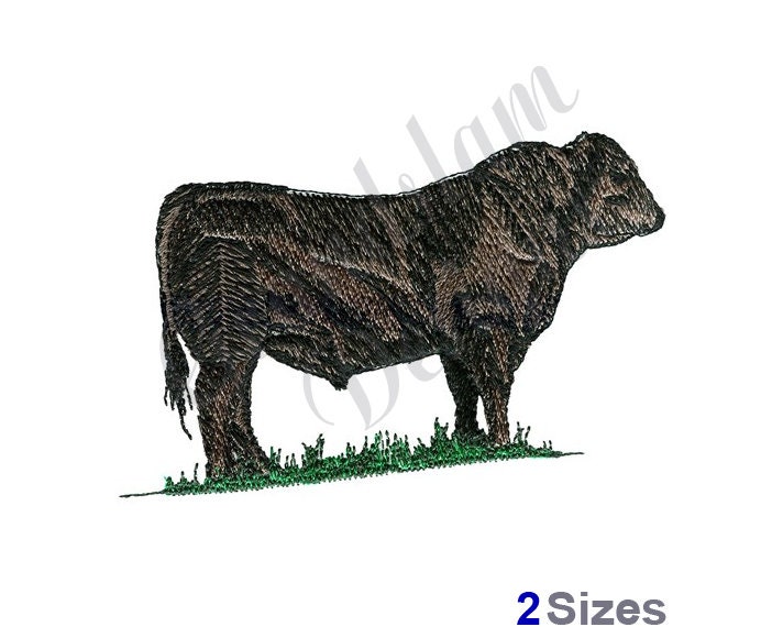 Black Angus Steer - Machine Embroidery Design - 2 Sizes - Etsy