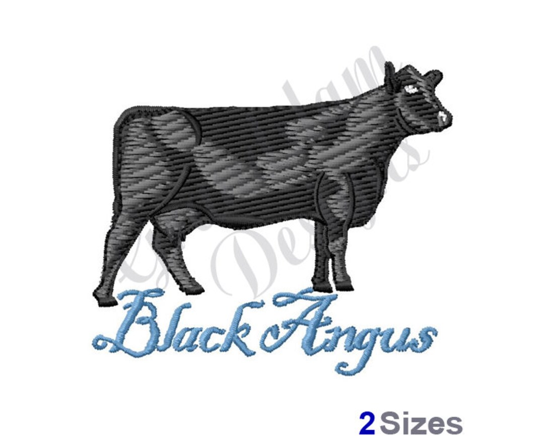 Black Angus Cow - Machine Embroidery Design, Embroidery Designs ...