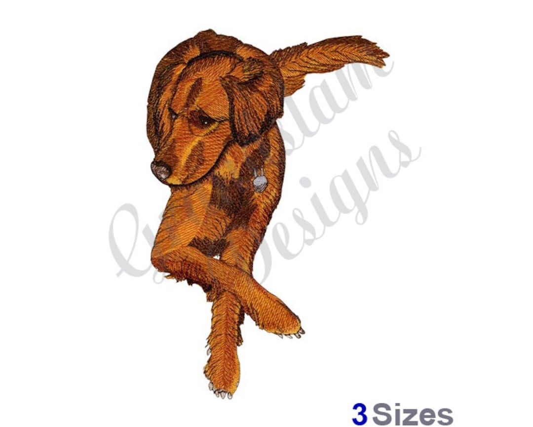 Golden Retriever Dog - Machine Embroidery Design, Embroidery Designs ...