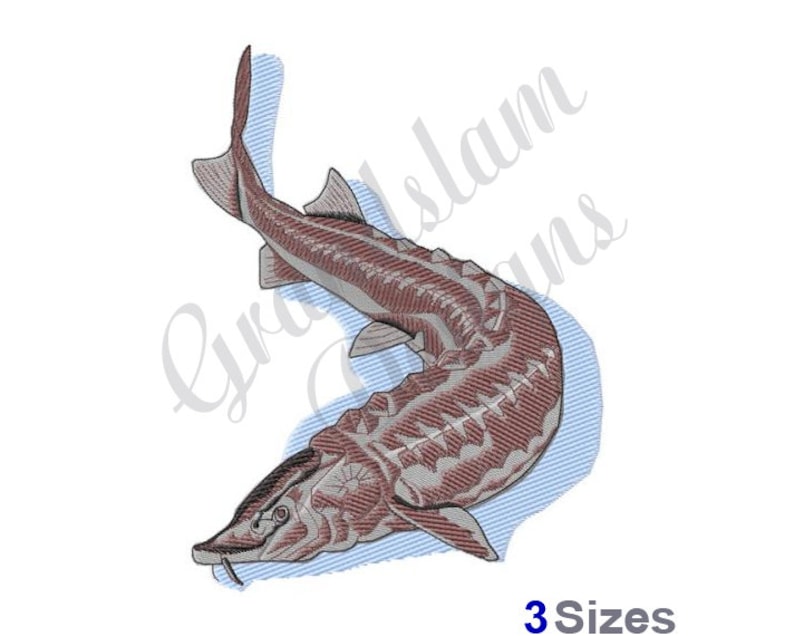 Sturgeon Fish Machine Embroidery Design Embroidery Designs - Etsy