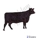 Black Angus Cow Machine Embroidery Design Embroidery - Etsy