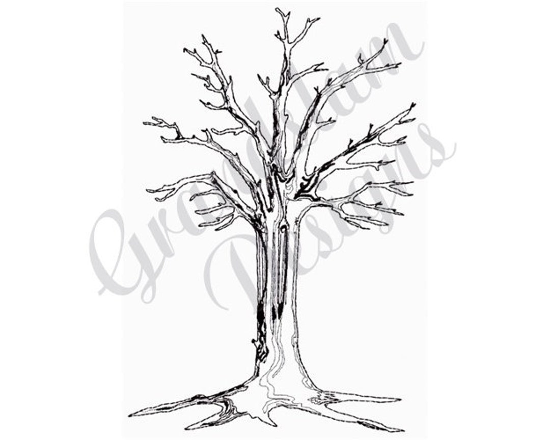 Tree Outline - Machine Embroidery Design - Etsy