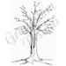 Tree Outline - Machine Embroidery Design - Etsy