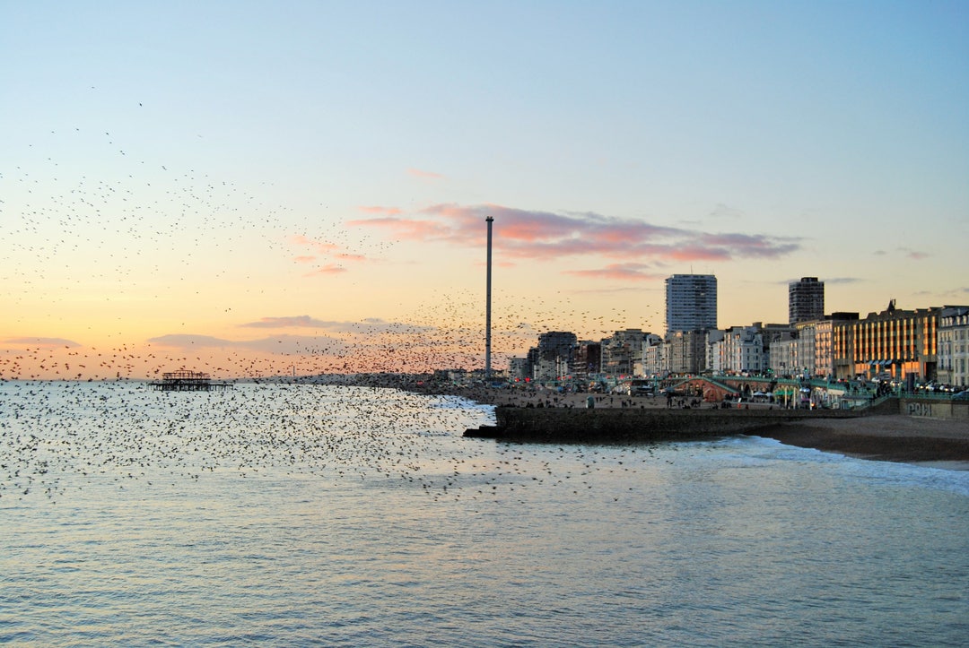 Brighton Seafront Murmuration Photo, Brighton, Pier, Sunset, Sea, Photo ...