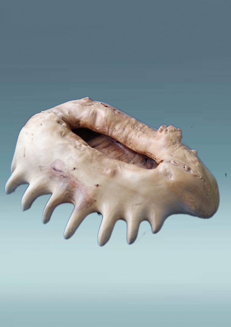 Wooden Shell Shell Decor Wood Shell Large Shell Decor - Etsy Norway