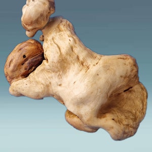 Wooden Predator, Wooden Sculpture, Wood Burl Decor, Handmade Wooden ...