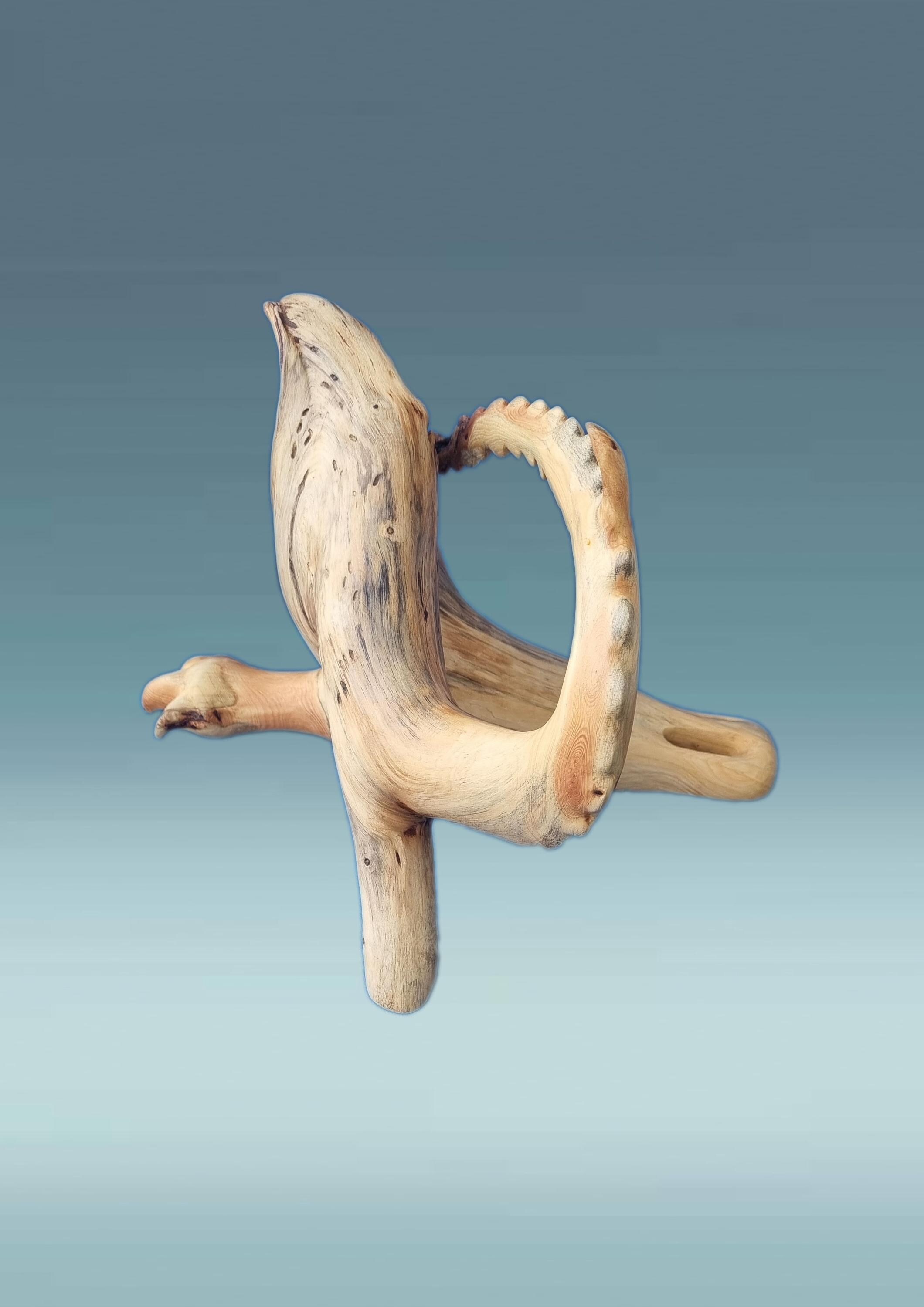 Wooden Lizard, Reptile, Burl Wood Lizard, Wooden Reptile, Wood Reptile ...