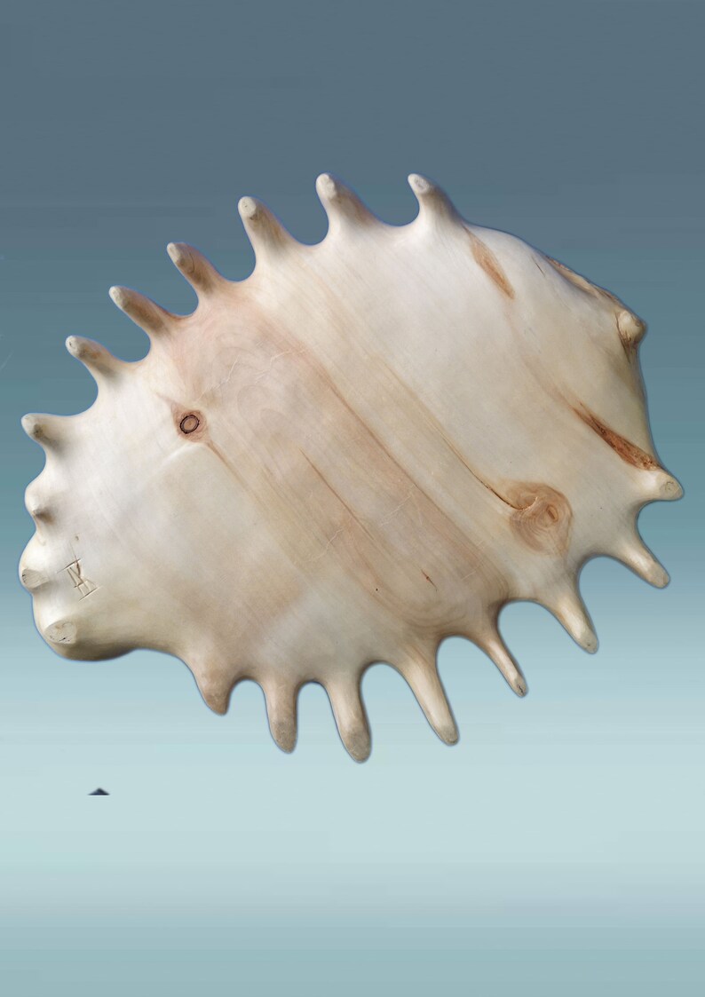 Wooden Shell Shell Decor Wood Shell Large Shell Decor - Etsy Norway