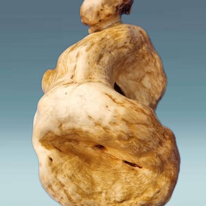 Wooden Predator, Wooden Sculpture, Wood Burl Decor, Handmade Wooden ...