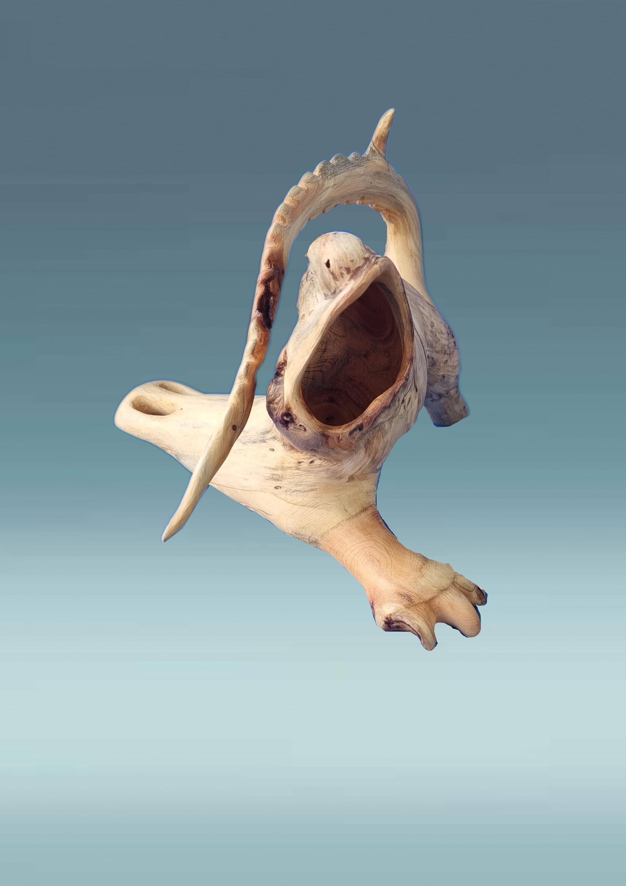 Wooden Lizard, Reptile, Burl Wood Lizard, Wooden Reptile, Wood Reptile ...